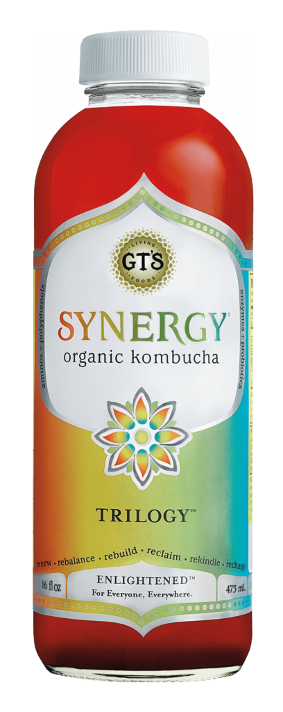 G.T.’s Synergy Trilogy Organic Vegan Raw Kombucha – 16 fl – Harvest ...
